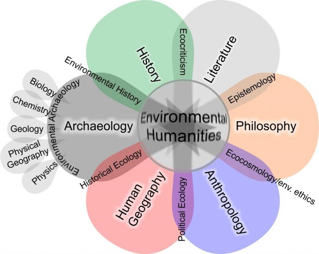 Environmental Archaeology – Phil Bucklands Website